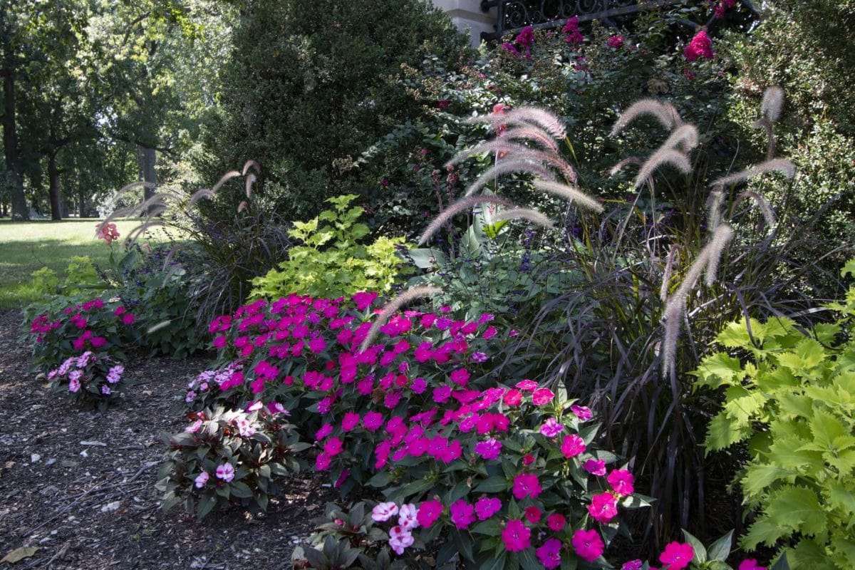 Tower Grove Manor - Independent Living Community